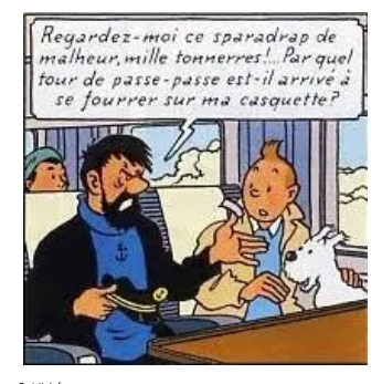 Tel le « sparadrap du Capitaine Haddock » … – Prendre Parti